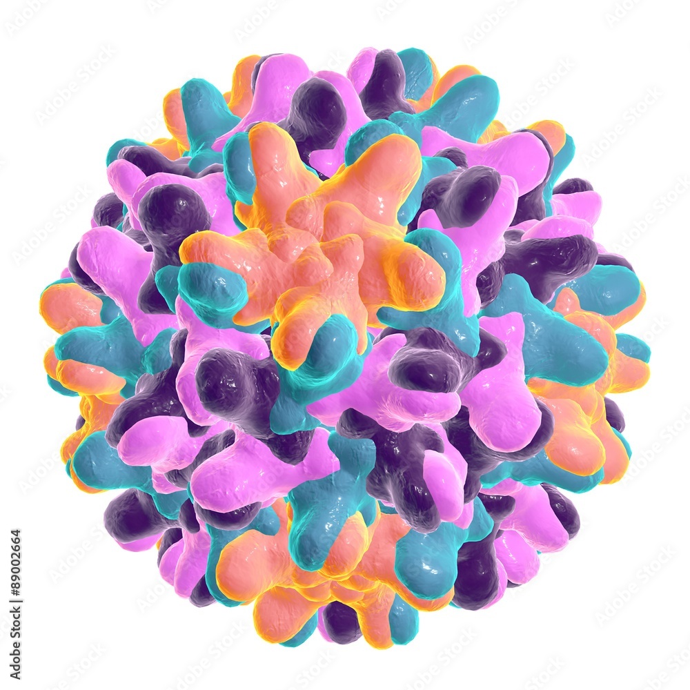 Hepatitis B virus isolated on white background. A model is built using ... Hepatitis B virus isolated on white background. A model is built using ...