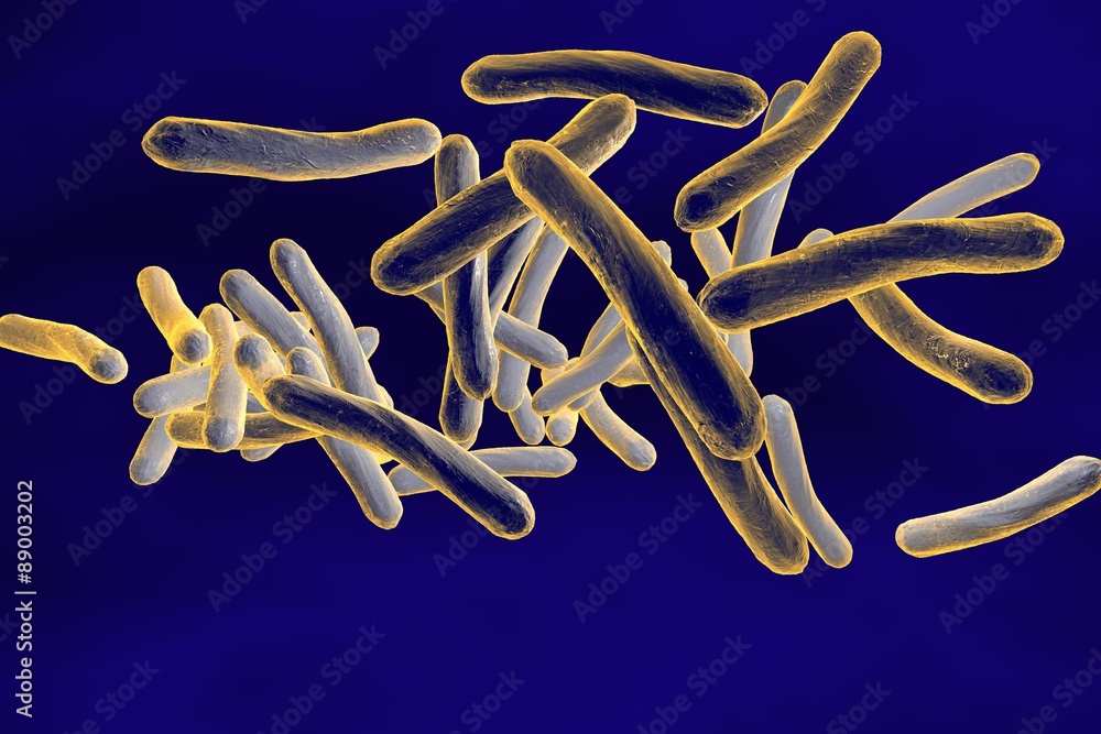 Microscopic view of Mycobacterium tuberculosis, model of bacteria ...