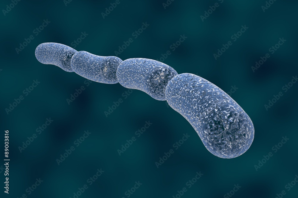 Three-dimensional drawing of rod-shaped bacteria, streptobacilli ...