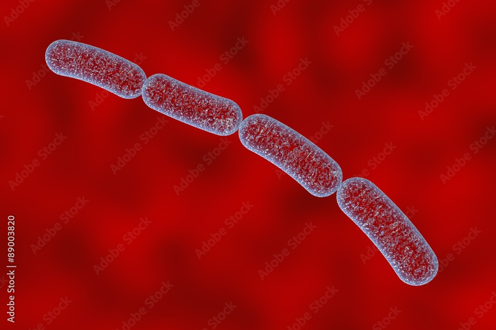 Three-dimensional drawing of rod-shaped bacteria, streptobacilli ...