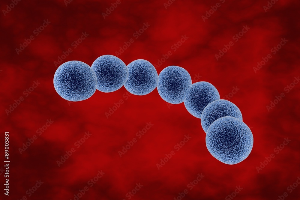 Streptococci. Spherical bacteria on the surface of skin or mucous ...