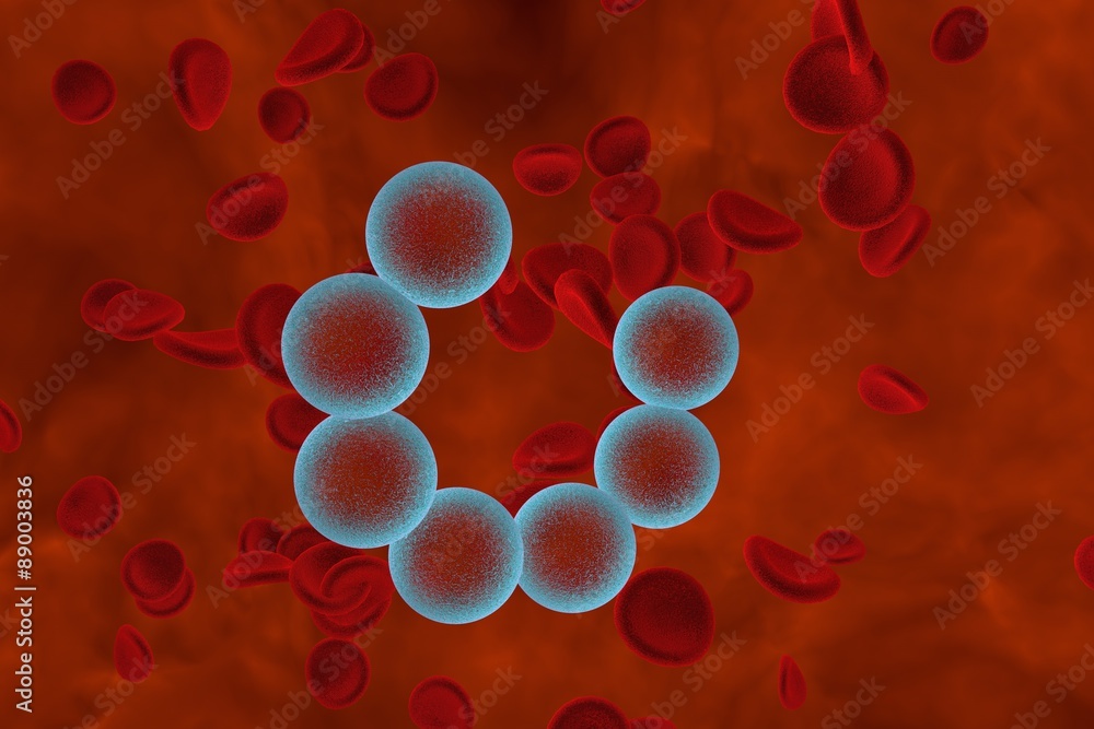 Streptococci. Spherical bacteria on the surface of skin or mucous ...