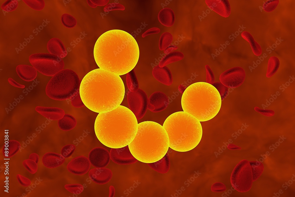 Streptococci. Spherical bacteria on the surface of skin or mucous ...