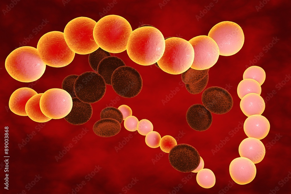 Streptococci. Spherical bacteria on the surface of skin or mucous ...