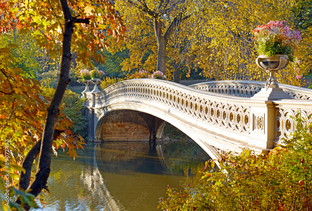 Foto de Autumn Color - Fall Foliage in Central Park, Manhattan New York ...