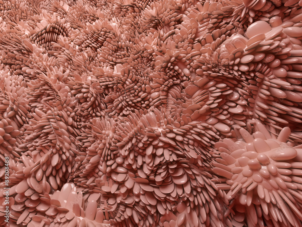 Biology anatomy abstract background. Stock Illustration | Adobe Stock