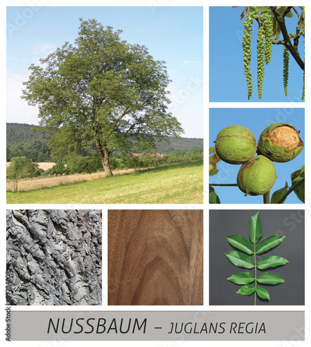 Nussbaum Stock The Shelves