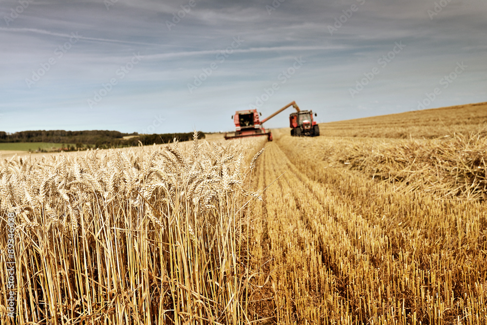 moisson Stock Photo | Adobe Stock