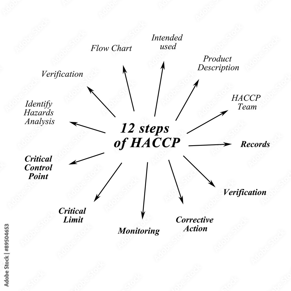 element of 12 step HACCP principle on white background Stock ...