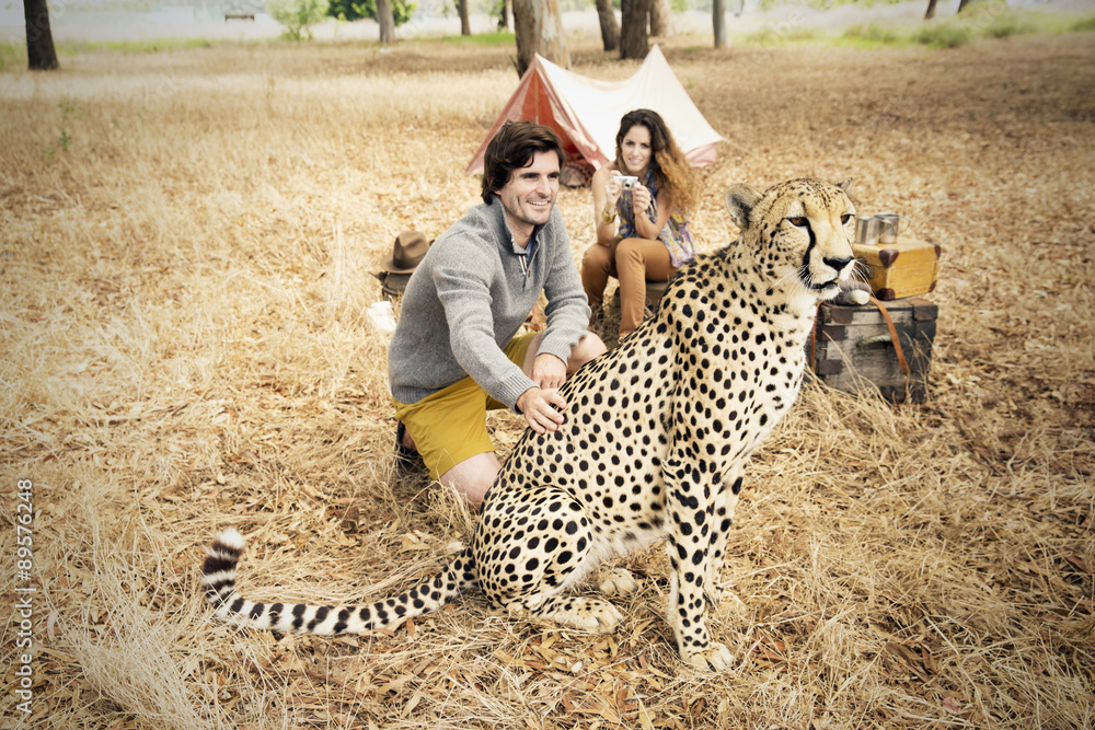 Tamed Cheetah