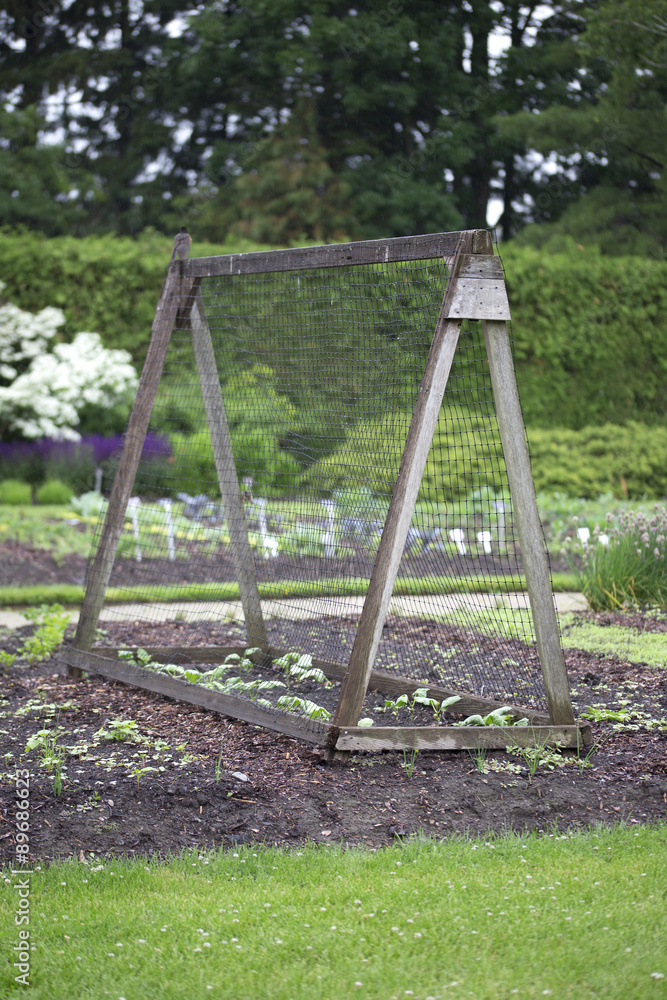 Beautiful Vegeable Garden with Pyramid Plant Support Stock Photo ...