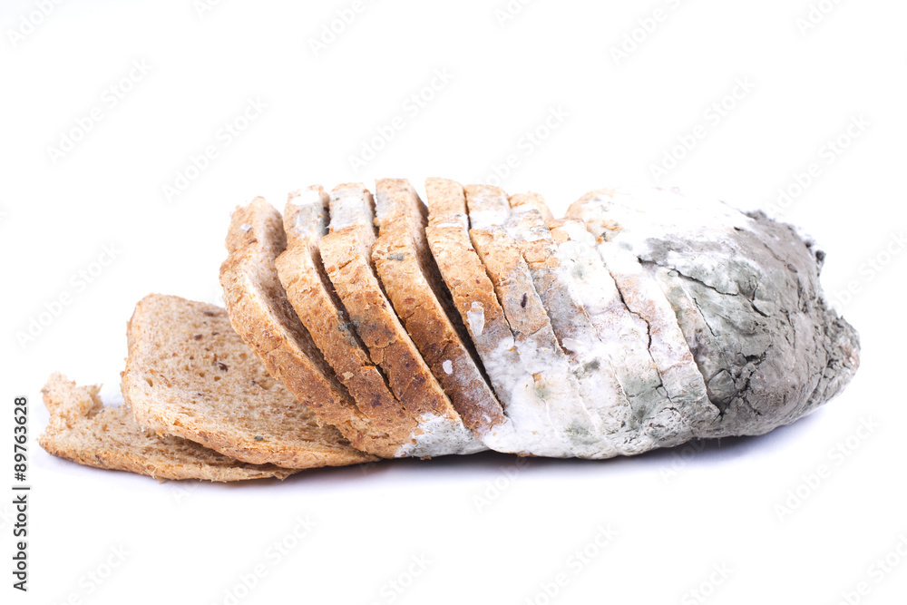 Mouldy bread Stock Photo | Adobe Stock