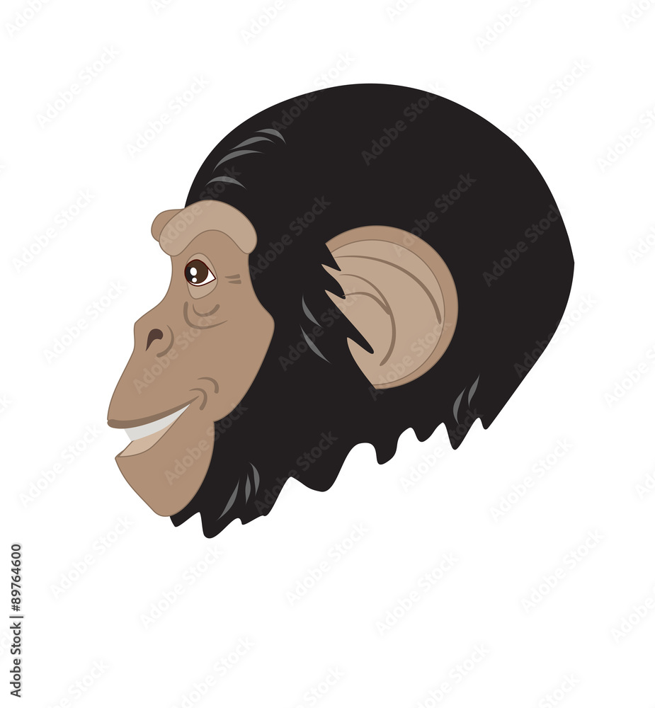 Chimpanzee Head Side View