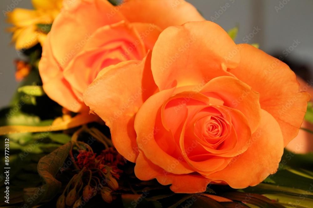 Rosenstrauß Stock Photo | Adobe Stock