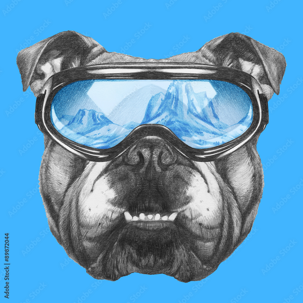 English Bulldog Goggles
