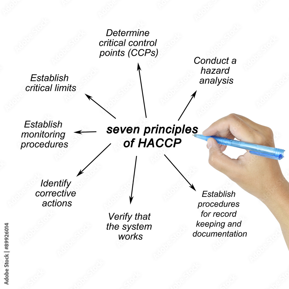 Woman hand writing element of HACCP principle on white background for ...