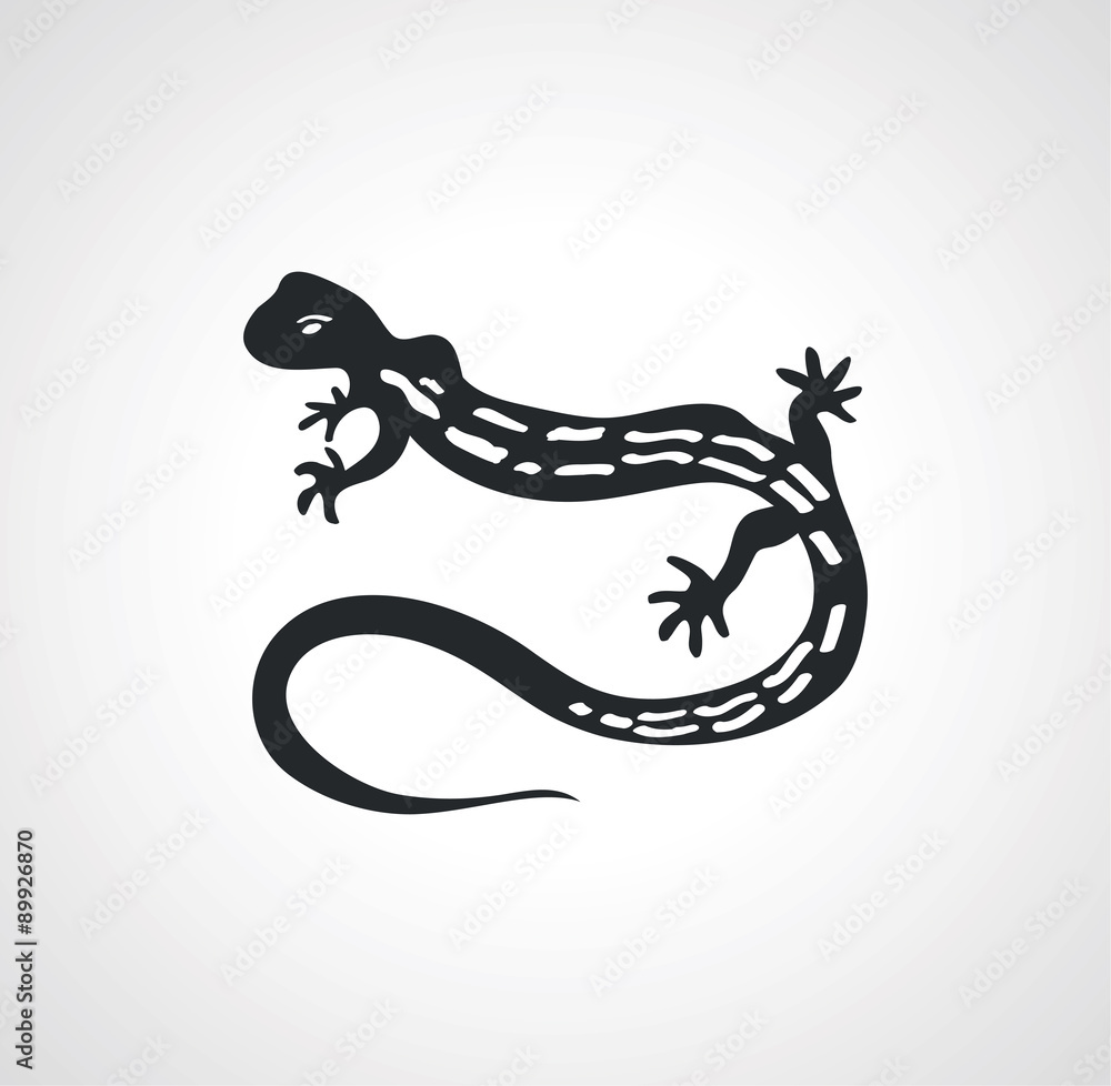 outline drawing black isolated lizard Stock Vector | Adobe Stock