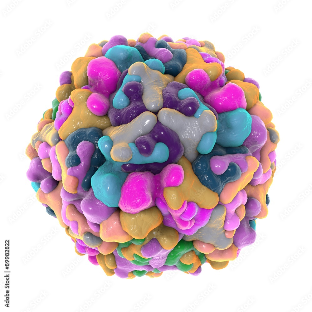 Enterovirus 71 which causes hand-foot-and-mouth diseases (HFMD ...