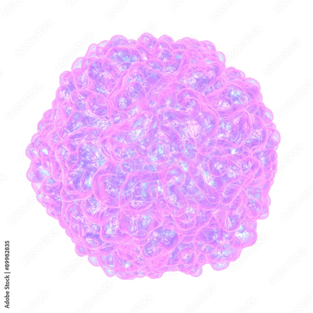 Enterovirus 71 which causes hand-foot-and-mouth diseases (HFMD ...