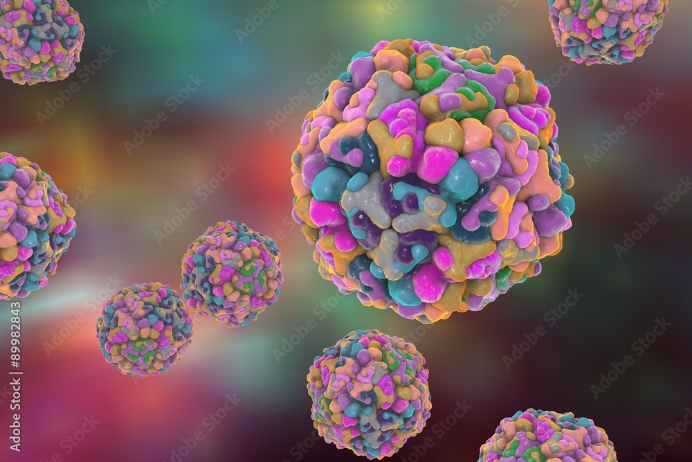 Illustration of Enterovirus 71 which causes hand-foot-and-mouth ...