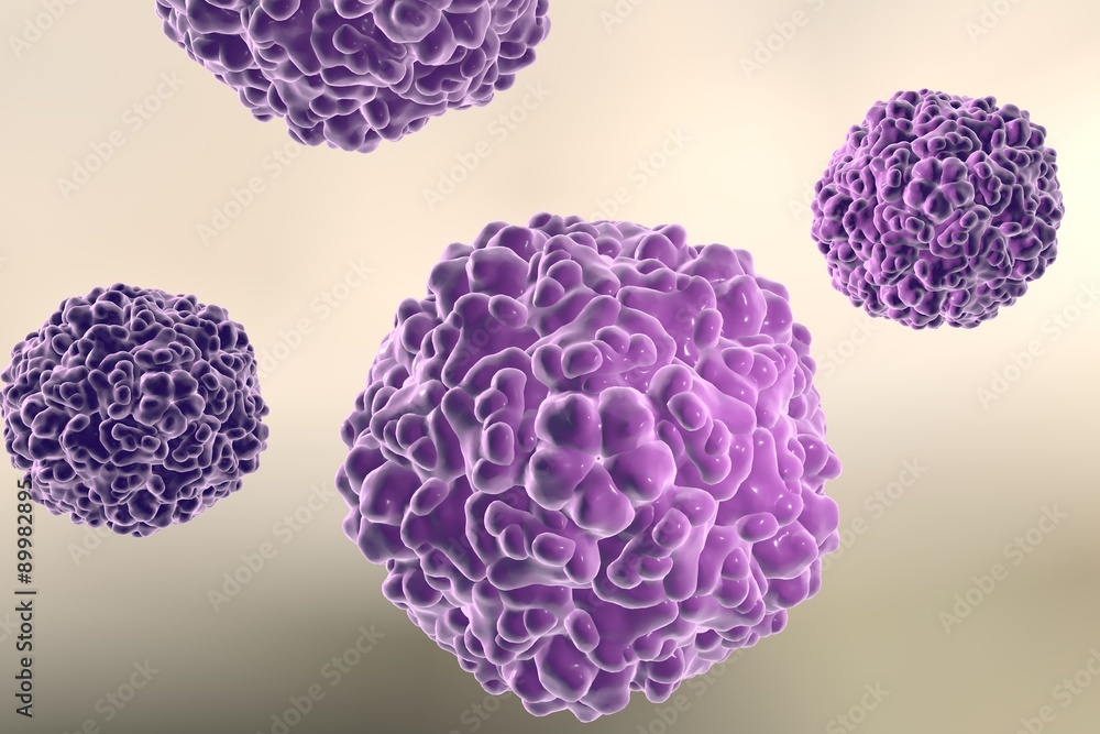 Illustration of Enterovirus 71 which causes hand-foot-and-mouth ...
