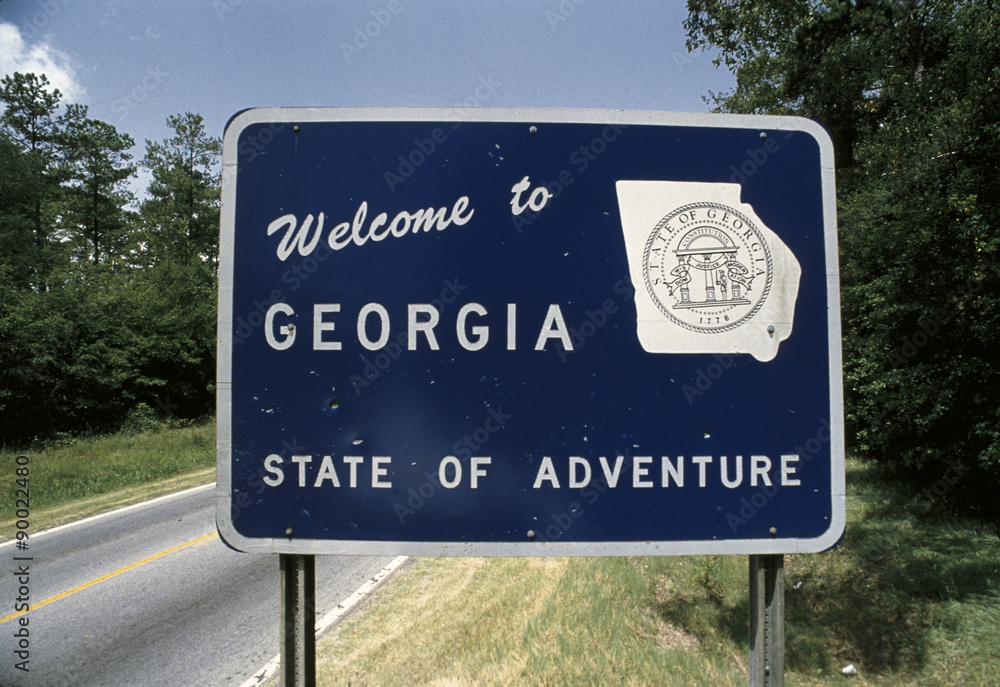 Georgia State Tree Name