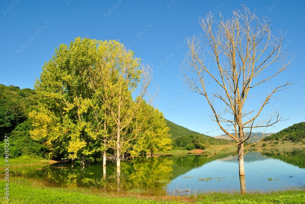 Foto Stock Riserva Naturale del Lago di Canterno - Lazio - Italia ...