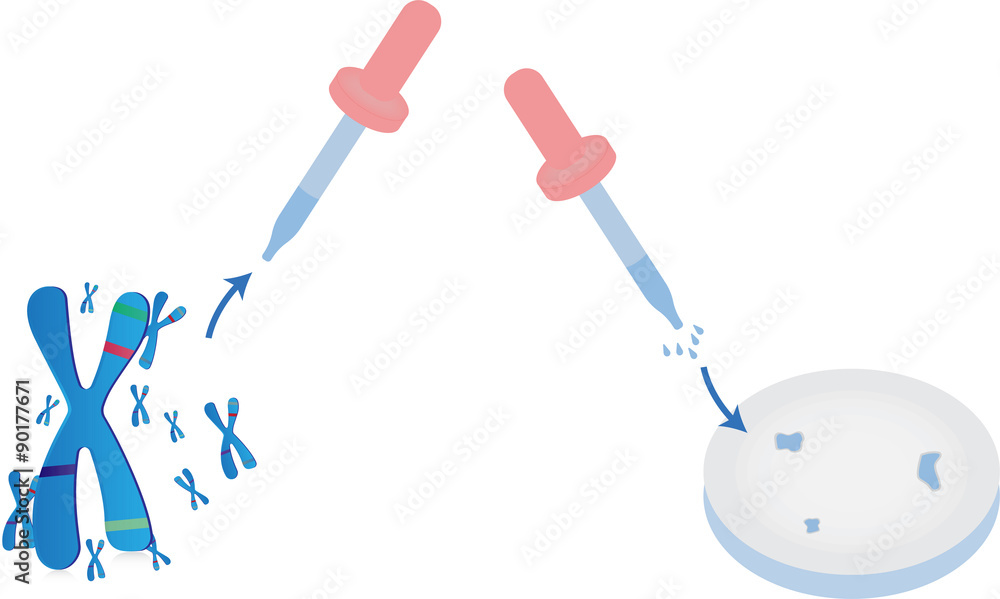 Genetic Modifications Laboratory Stock Vector Adobe Stock