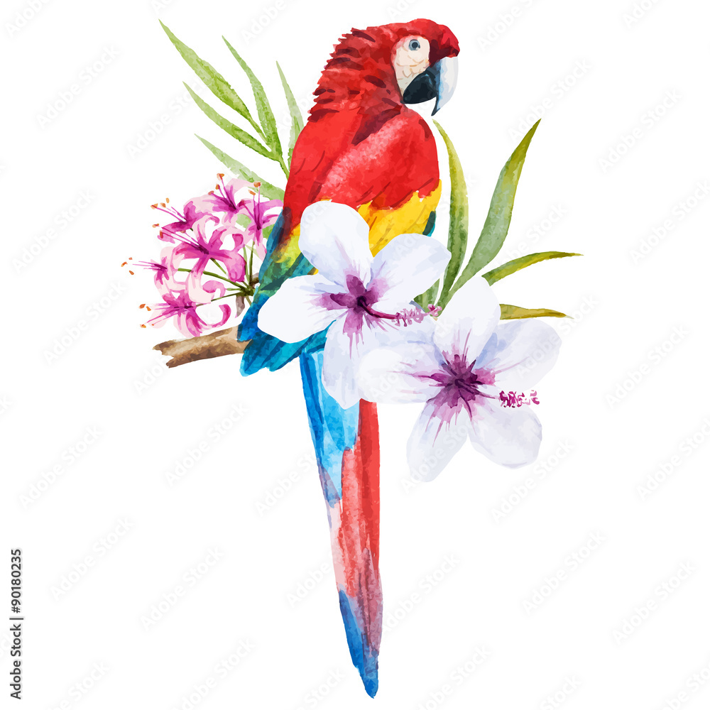 Watercolor parrot Stock Vector | Adobe Stock