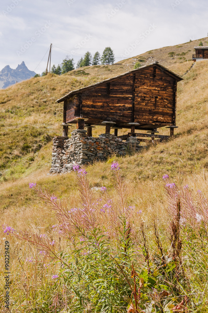 Foto de Zermatt, Walliser Dorf, Bergdorf, Dorf, Findeln, Weiler, Alpen ...