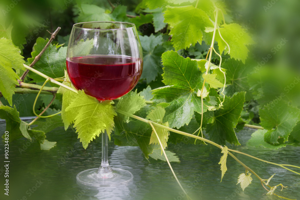 Rotwein Stock-Foto | Adobe Stock