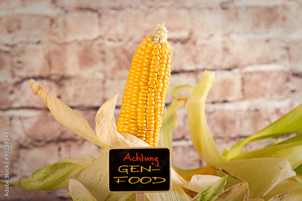 Genfood Stock Photo | Adobe Stock
