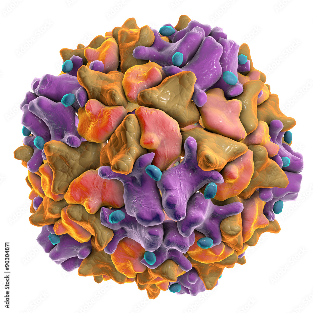 Poliovirus isolated on white background. A virus transmitted by ...