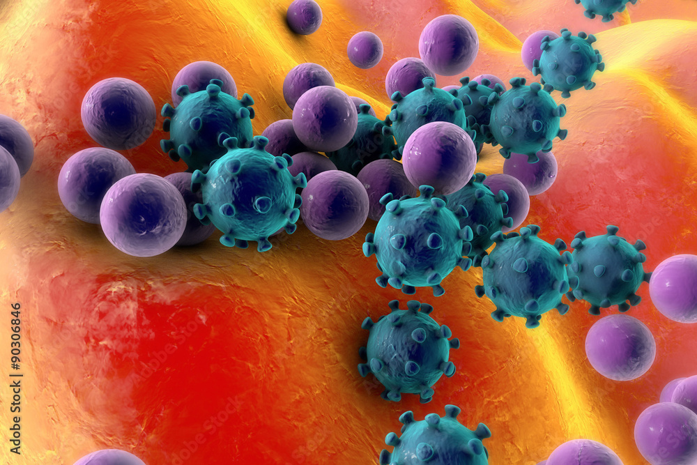 Bacteria and viruses on surface of skin or mucous membrane, model of ...