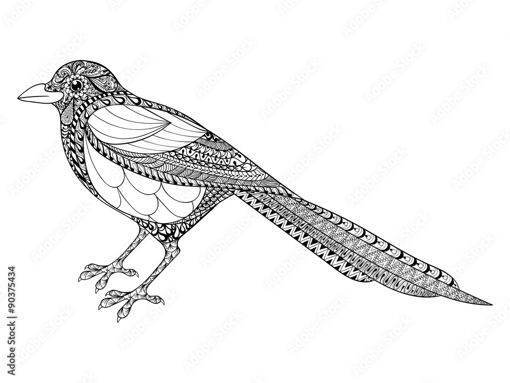 Hand drawn Magpie illustration for antistress Coloring Page with Stock ...