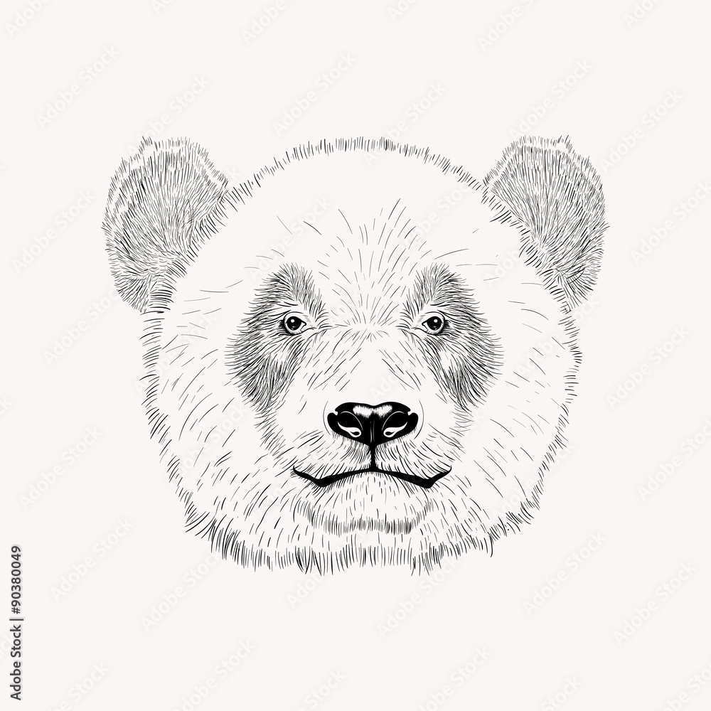 Panda Face Drawing Hands