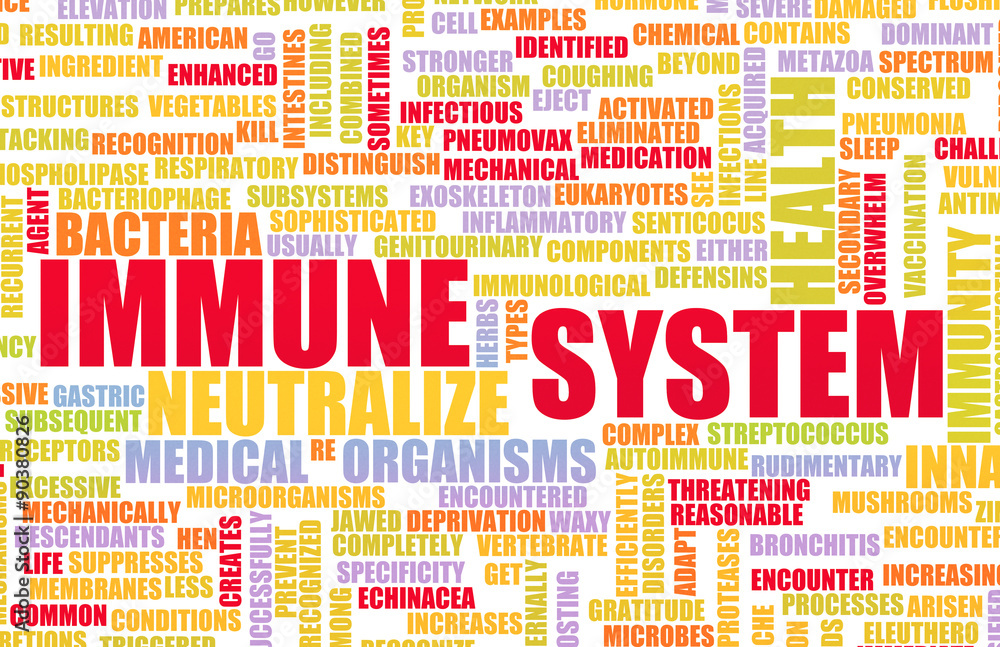 Immune System Stock Illustration | Adobe Stock