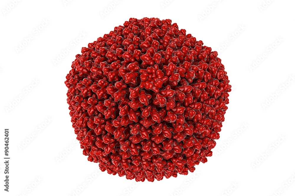 Adenovirus type 5 which causes respiratory infections isolated on white ...