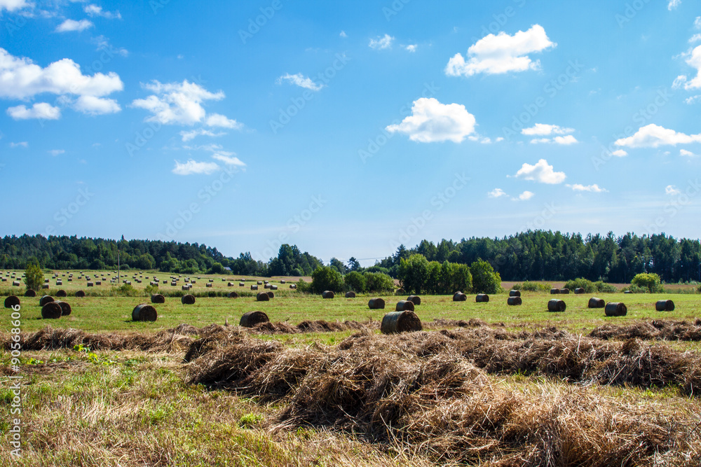 Haystacks in the field. Coil of hay. Panorama of rural beauty. The ...