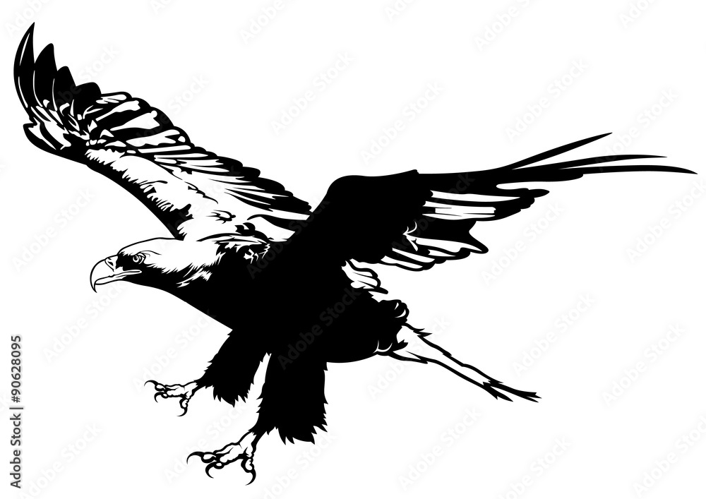 Flying Bald Eagle - Black Outline Illustration, Vector Stock Vector ...