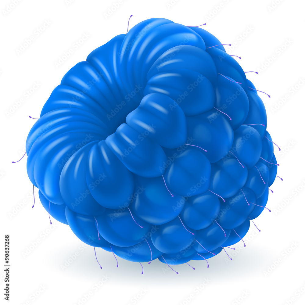 Blue raspberry over white Stock Vector | Adobe Stock