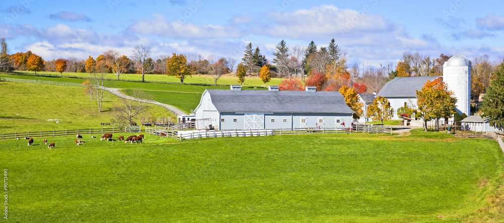Generic Dairy farm Stock Photo | Adobe Stock