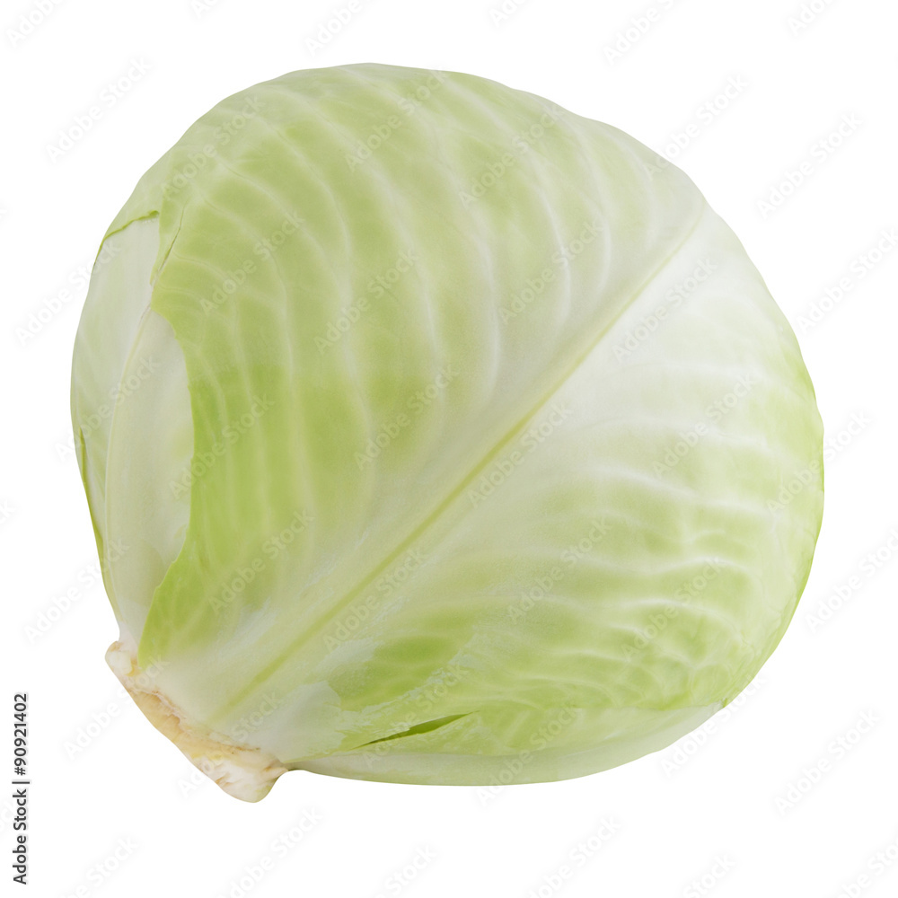 Weisskohl Stock-Foto | Adobe Stock