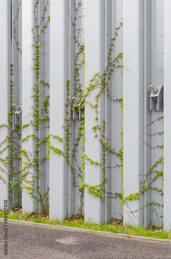 Anchored retaining steel sheet pile wall overgrown with ivy Stock Photo ...