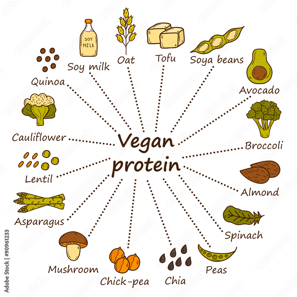 Set of cartoon hand drawn objects on vegan protein source theme Stock ...