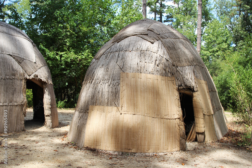 Different Types Of Native American Houses at Riley Auld blog