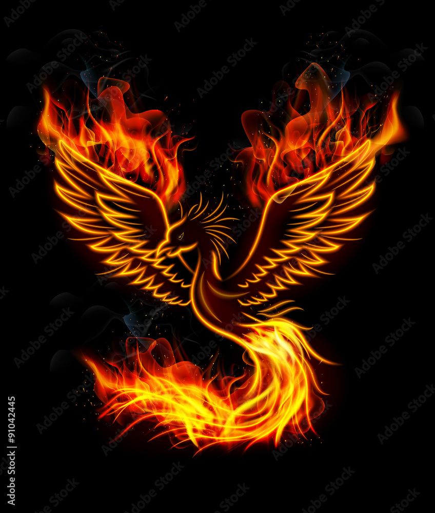 Fire burning Phoenix Bird with black background Stock Vector | Adobe Stock