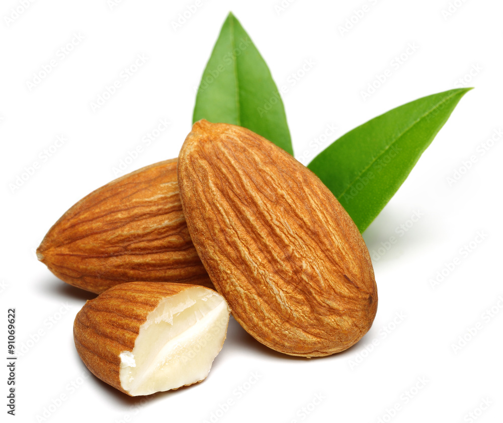 Almond group Stock Photo | Adobe Stock