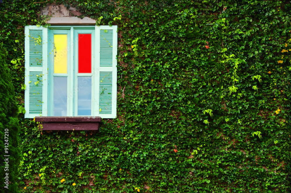 Colored window covered by green leaves Stock Photo | Adobe Stock