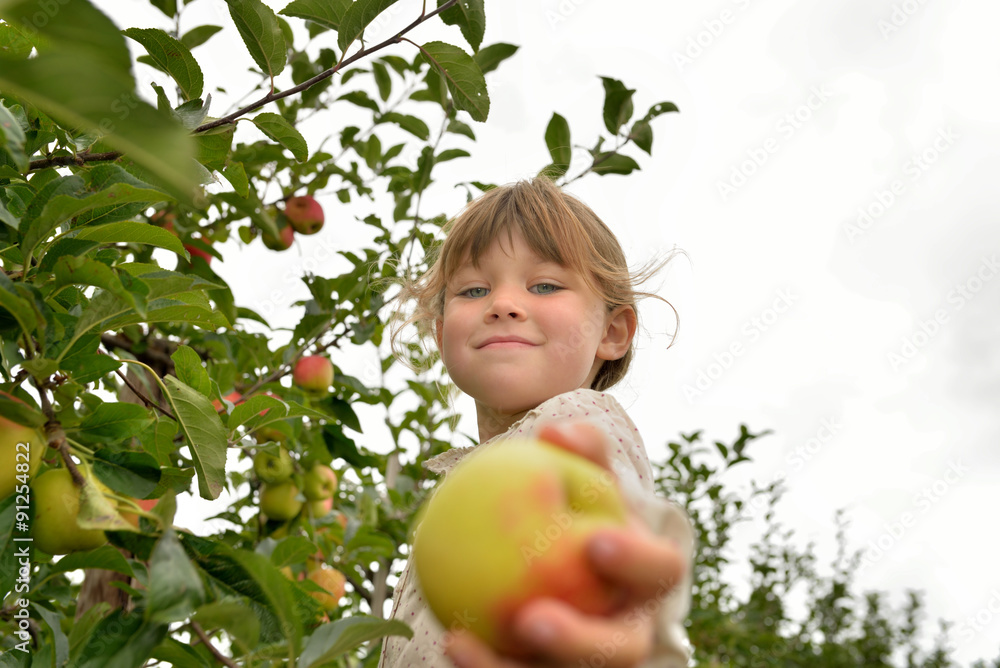 cueillette des pommes Stock Photo | Adobe Stock